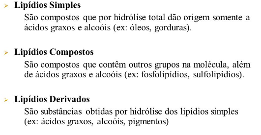 Triglicerideos Lipidios Importância Da Insulina No Metabolismo De