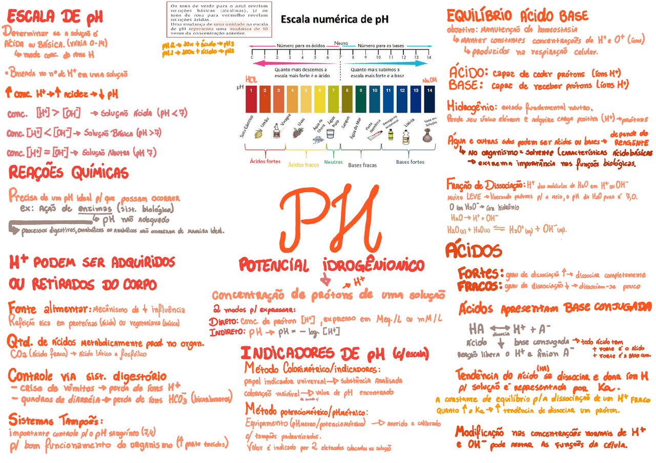 Resumo de ph e foto - BIOFISICA - Resumo da aula de: PH PH significa potencial hidrogeniônico, e ...